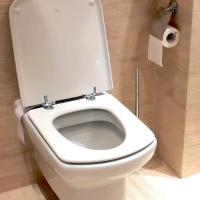 China Modern Hotel-Grade Zinc Alloy Adjustable Height Toilet Seat Hinge 180 Opening Angle Weighted Screws Bathroom Kitchen Workshop for sale