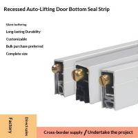 China Hotel Room Door Automatic Lifting Zinc Alloy Aluminium Sealing Strip Purification Clean Bottom Seal Dustproof Soundproofing for sale