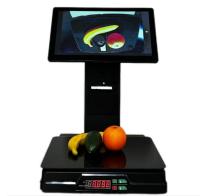 China SCPOS AI-1 AI Scale 15.6 Inch HD Main Screen POS System for Supermarket Grocery Seafood Shop for sale