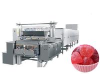 China Fully Automatic Jelly Gummy Candy Depositing Line for sale