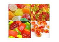 China Confectionary Equipment Small Scale Gummy Making Equipment for sale