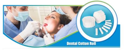 China 100% Natural High Absorbent Cotton Rolls Non-Sterile Dental Gauze Treatment Nosebleed Stop Absorbent Cotton Wool Cotton Rolls Oral Clinics Practices  10*38mm Good Health 100% Pure Cotton Rolls for sale