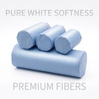 China OEM Customized Cotton Wool Roll Private Label Medical Wound Dressing 500g Grade for sale