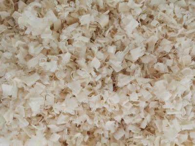 China Comfortable Wood Shavings Sawdust Moisture Absorption Widely Used For Poultry for sale