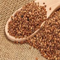 China Mobile Circulation 10m3 11000m3/H Batch Grain Dryer for sale