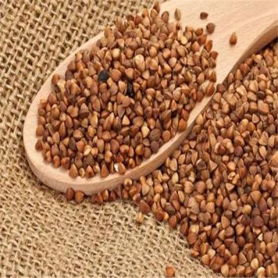 China Mobile Circulation 10m3 11000m3/H Batch Grain Dryer for sale