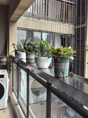 China Bolted Installation Balcony Grills Constructed Using Highest Grade Of Stainless Steel Cables For Protection And Durability for sale