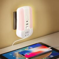China China Manufacturer OEM Design  Socket with Voice Control & Remote Standard Wall Plug Electricity Metering for sale