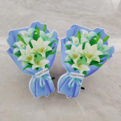 China Plug in Night Light LED Light Source Type Multiple Indoor Bedrooms and Hallways for sale