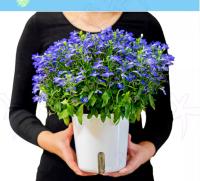 China Invisible Grill  Flower Pot Accessories Middle Size Durable Perfect For Balcony Invisible Grille Wire for sale