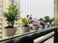 China Invisible Grill  Flower Pot Accessories Middle Size Durable Perfect For Balcony Invisible Grille Wire for sale