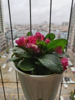 China Suitable For Indoor And Outdoor Grilling Invisible Grill Accessories Plastic Flower Pot For Grilling for sale