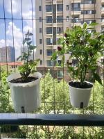 China Invisible Grill  Flower Pot Accessories Durable Components for Secure Installation and Long Lasting Performance in Commercial Projects for sale