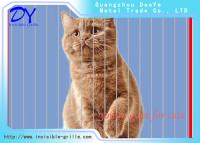 China 3CM Gap Protect Pets Safety Invisible Grills For Home Balcony for sale