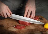 China Professional Japanese Yanagiba Sashimi Knife with Aogami Blue Paper #2 Steel Core and 270mm Single Bevel Blade for sale