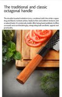 China Aogami 2 Gyuto Knife Hand‑Forged Japanese Chef’s Knife for Professional Kitchen for sale