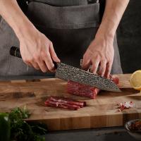 China Longyichang N690 Powder Steel Gyuto Knife Hand‑Forged Japanese Chef’s Knife for Modern Kitchen for sale