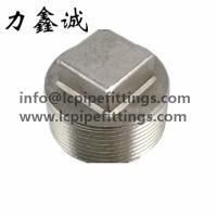 China Stainless Steel Square Plug SS304/SS316 1/2