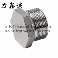 China Stainless Steel Hex Plug DIN EN 10213 1.4308/1.4408 DN15-DN50 12-116mm Dimensions for sale