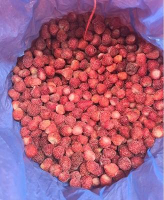 China 2025 New Crop Iqf Strawberry Whole A13 Frozen Strawberry Whole Frozen Fruits for sale