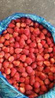 China 2025 New Crop Iqf Strawberry Whole A13 Frozen Strawberry Whole Frozen Fruits for sale