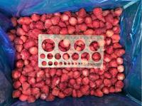 China 2025 New Crop Iqf Strawberry Whole A13 Frozen Strawberry Whole Frozen Fruits for sale