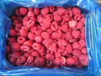 China High Quality Bulk Frozen Raspberries Frozen Raspberry Bulk Packaging Fruit for sale