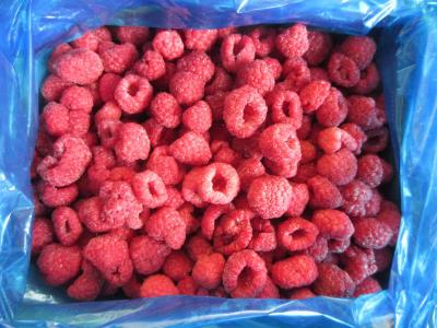 China High Quality Bulk Frozen Raspberries Frozen Raspberry Bulk Packaging Fruit for sale