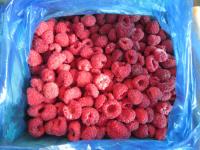 China High Quality Bulk Frozen Raspberries Frozen Raspberry Bulk Packaging Fruit for sale