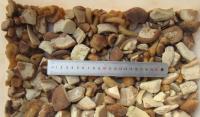 China 2025 New Crop high quality frozen mixed mushrooms Frozen for sale