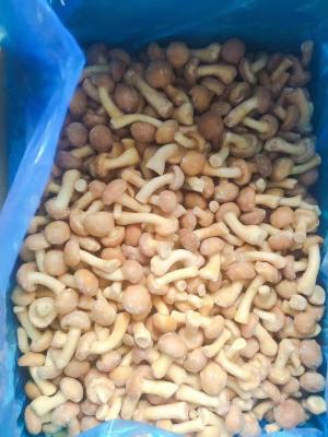 China 2025 New Crop high quality frozen nameko Mushrooms for sale