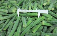 China Chinese Supply Best Quality Good Price Iqf Frozen Vegetable Whole Okra Gumbo for sale
