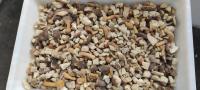 China 2025 New Crop high quality frozen mixed mushrooms Frozen for sale