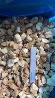 China 2025 New Crop high quality frozen Boletus Edulis Mushrooms for sale