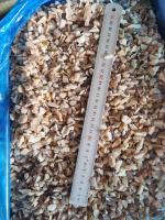 China 2025 New Crop high quality frozen Boletus Edulis Mushrooms for sale