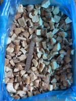 China 2025 New Crop high quality frozen Boletus Edulis Mushrooms for sale