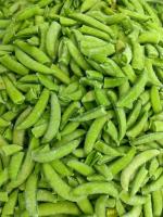 China China Fresh Frozen Vegetable New Crop IQF Frozen Sugar Snap Peas Stringless 2 Sides for sale