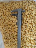 China New Harvest Frozen Vegetable Super Sweet Corn Kernels for Export to Worldwide Markets for sale