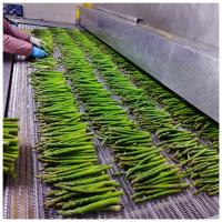 China Asparagus Spears Esparragos Espargos Frozen Vegetables IQF Frozen Green Asparagus Seed a Grade Bulk Packaging Asparagus Price for sale