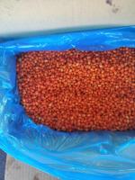 China Top of Frozen Fruit IQF Sea buckthorn 100% Natural No GMO BRC/Halal/Kosher Certified 24 Months Shelf Life 10kg per Case for sale