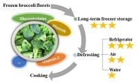 China 2025 High Quality IQF Vegetables Frozen Vegetables Wholesale Price Frozen Broccoli for sale