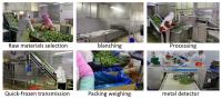 China 2025 High Quality IQF Vegetables Frozen Vegetables Wholesale Price Frozen Broccoli for sale