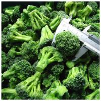 China 2025 High Quality IQF Vegetables Frozen Vegetables Wholesale Price Frozen Broccoli for sale