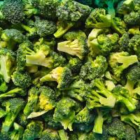 China 2025 High Quality IQF Vegetables Frozen Vegetables Wholesale Price Frozen Broccoli for sale