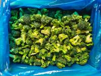 China 2025 High Quality IQF Vegetables Frozen Vegetables Wholesale Price Frozen Broccoli for sale
