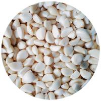 China Wholesale Garlic with Fresh Taste and Long Shelf Life Frozen Garlic for sale