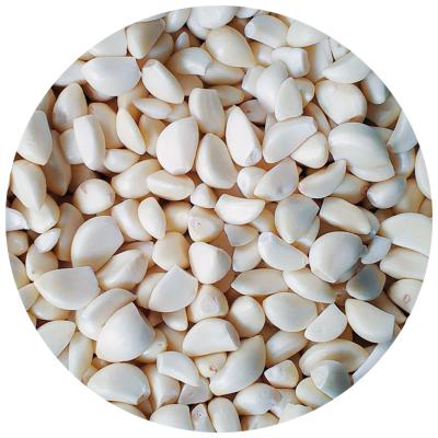 China Wholesale Garlic with Fresh Taste and Long Shelf Life Frozen Garlic for sale