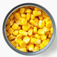 China Top Grade Canned Sweet Corn in Water with Fresh Yellow Color for sale