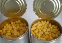 China Top Grade Canned Sweet Corn in Water with Fresh Yellow Color for sale