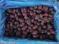 China IQF Frozen Fresh Blackberry Frozen Fruit Whole 10kgx1/carton 1kg*10/carton pallet tote HACCP/ISO/KOSHER/BRC for sale
